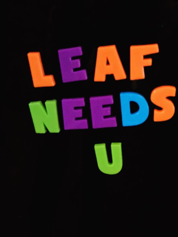 Leaf Program – Lyme Education Awareness Foundation